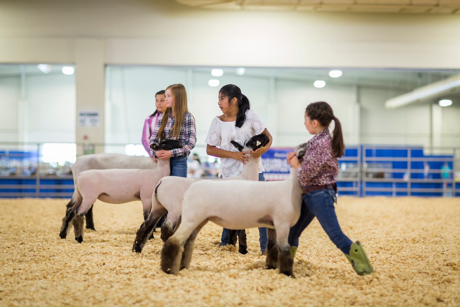 Cabarrus County Fair